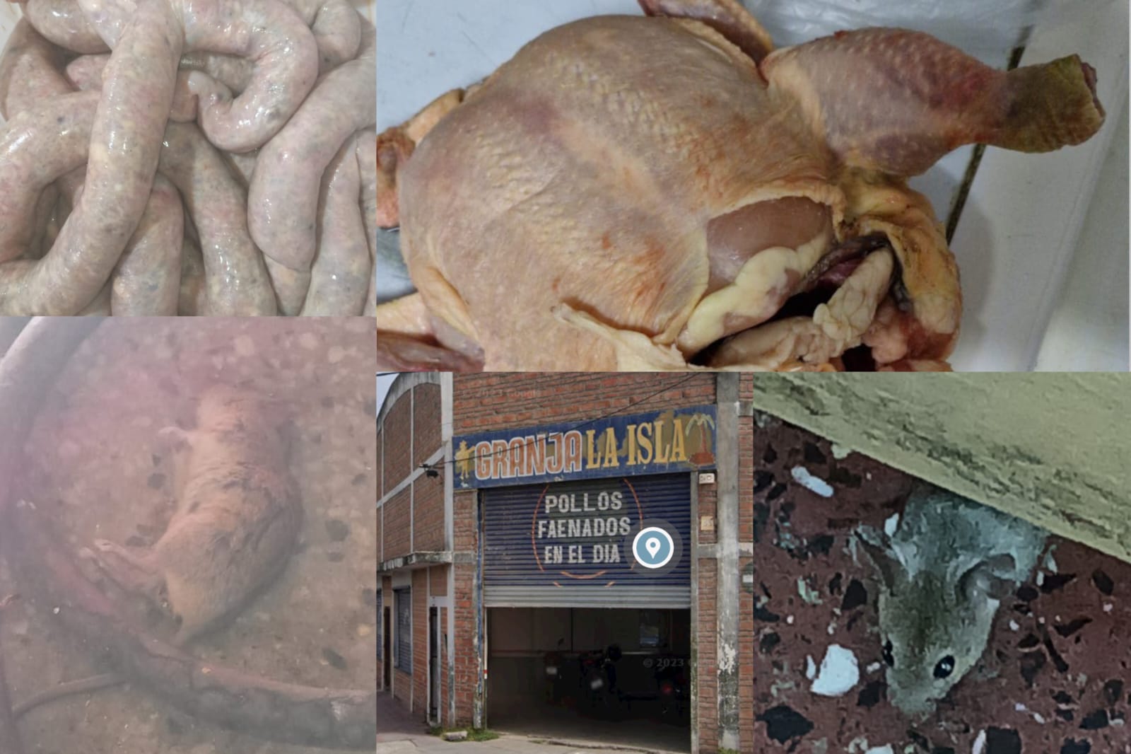 ¿Y bromatología? Ex empleado de Granja La Isla relevó que con los ...